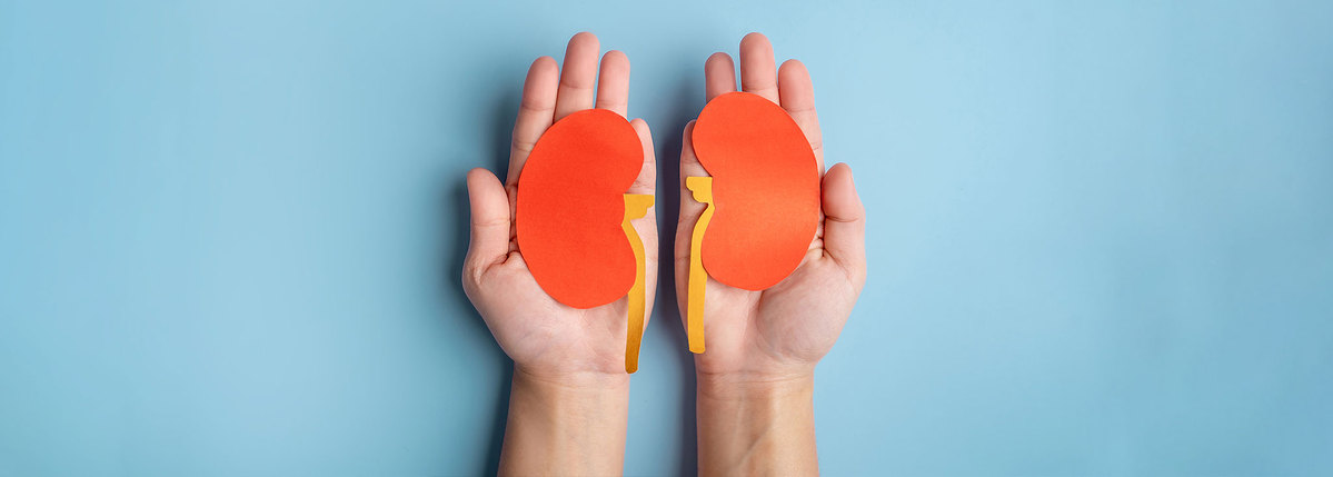 This New Product Could Help Identify Your Risk of Developing Kidney ...