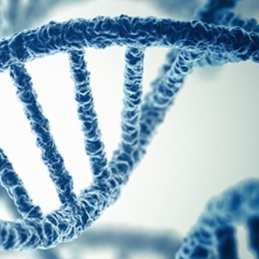 What is Monogenic Diabetes? | Beyond Type 1