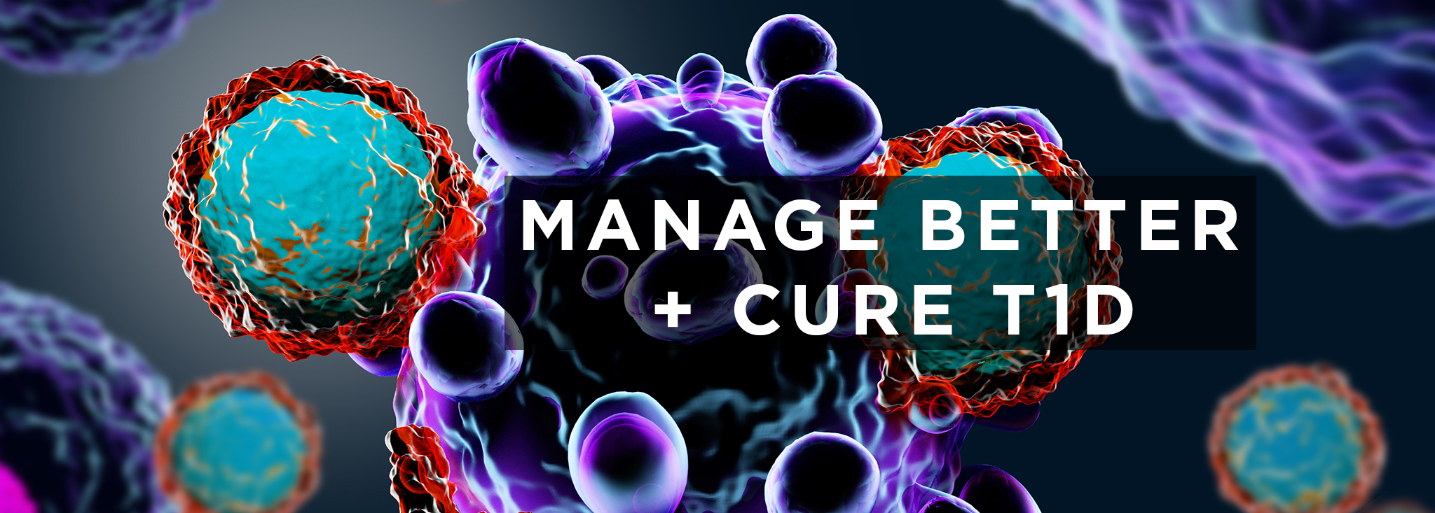 Investigaciones para un mejor manejo + la cura de la diabetes tipo 1 ...